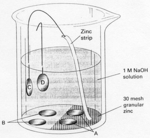 The golden penny experiment. By OpenStax (Page 4/5) | Jobilize