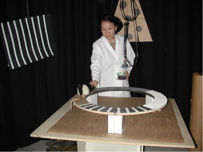 Motivation: double rotation experiment By OpenStax | Jobilize