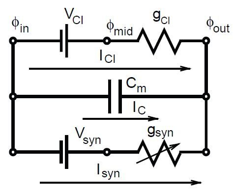 Comparison: stdp vs. cadp By OpenStax (Page 9/13) | Jobilize