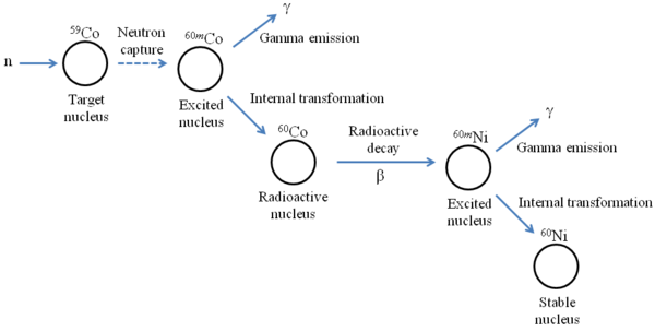 How It Works Neutron Activation Analysis Naa By Openstax Jobilize