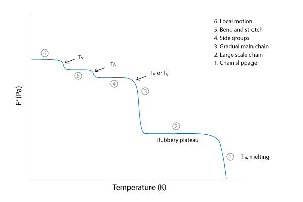 Basic principles of dma, Dynamic mechanical analysis, By OpenStax | Jobilize