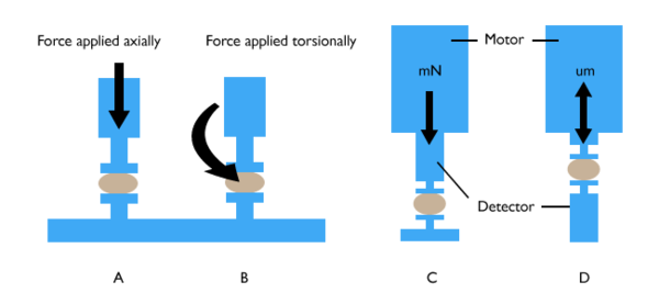 Advantages and limitations of dma By OpenStax (Page 4/4) | Jobilize