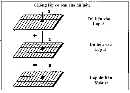 Vùng đệm (buffer zone), Các đặc điểm của hệ thống thông, By OpenStax (Page 2/2) | Jobilize