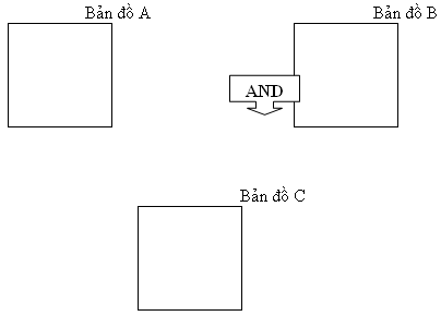 Vùng đệm (buffer zone), Các đặc điểm của hệ thống thông, By OpenStax (Page 2/2) | Jobilize