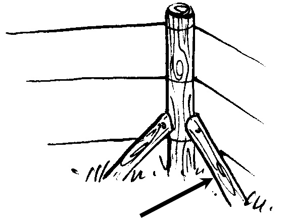 Inleiding tot strukture, Kwartaal 3, By OpenStax (Page 3/4) | Jobilize
