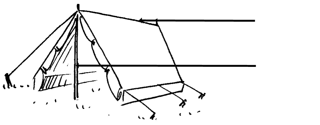 Grade 5 Introduction To Structures By Openstax Jobilize
