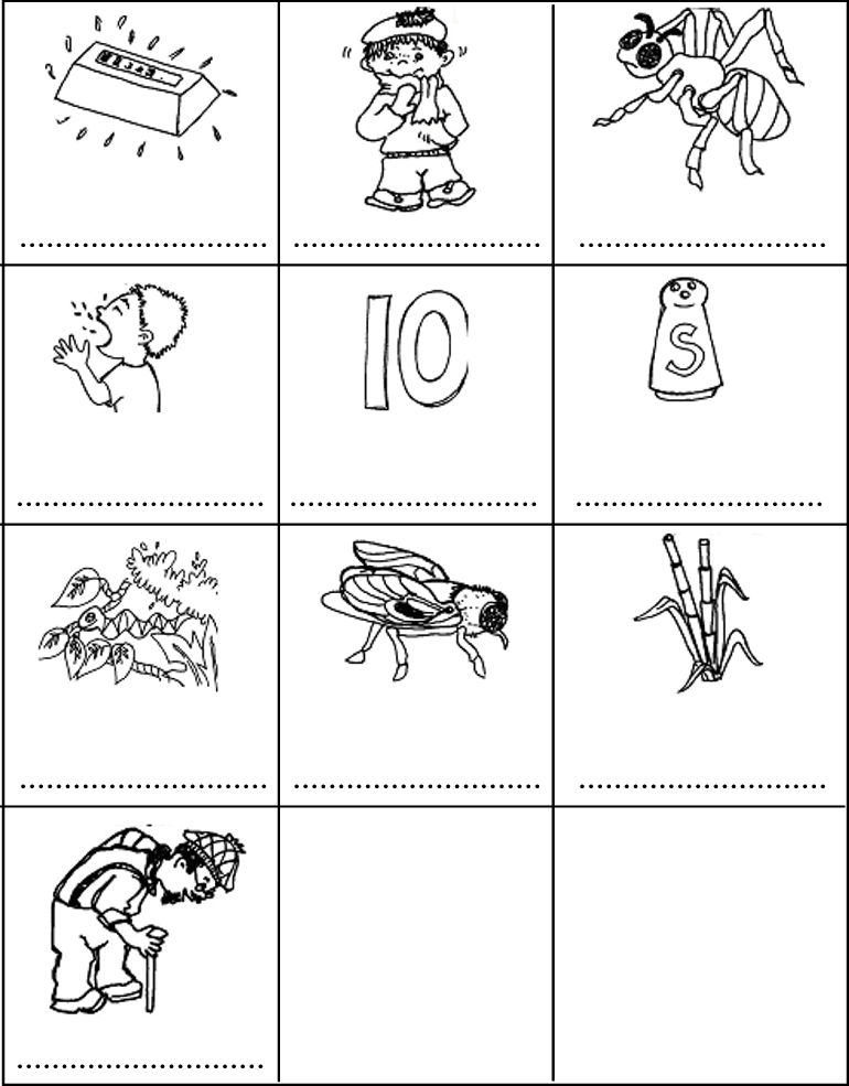 Memorandum, Willie kom kuier - 01, By OpenStax | Jobilize