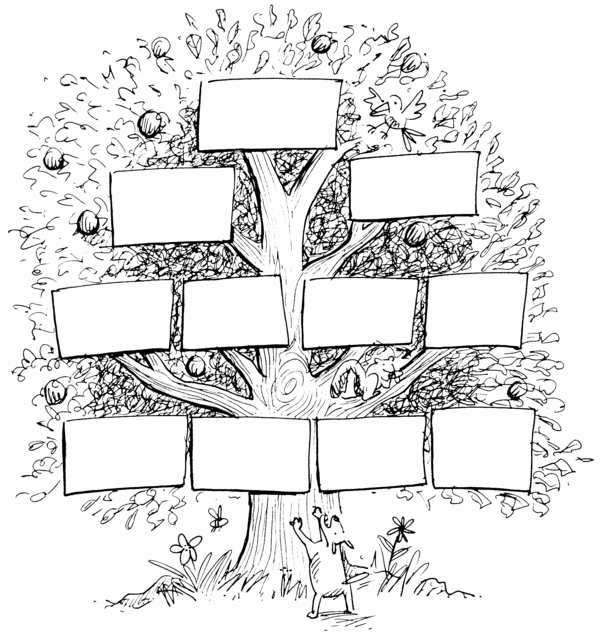 Graad 8, Leesstuk met vrae, By OpenStax | Jobilize