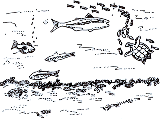 Assessering, Om sedimentêre gesteentes as ‘n tipe gesteente, By ...