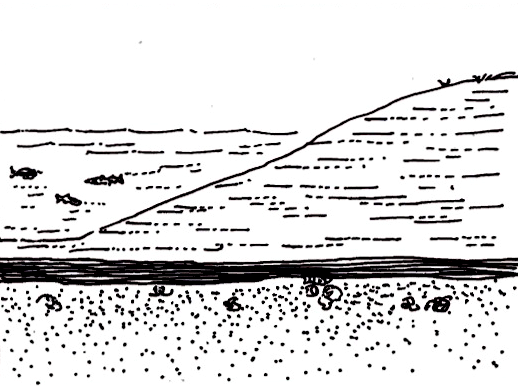 Die aarde en daarbuite, Om sedimentêre gesteentes as ‘n, By OpenStax ...