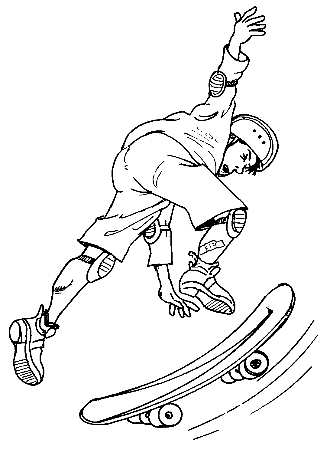 Assessment, The jungle olympics, By OpenStax | Jobilize