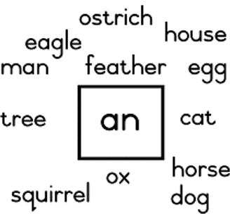 Assessment, Midge part 2 - 04, By OpenStax (Page 2/2) | Jobilize