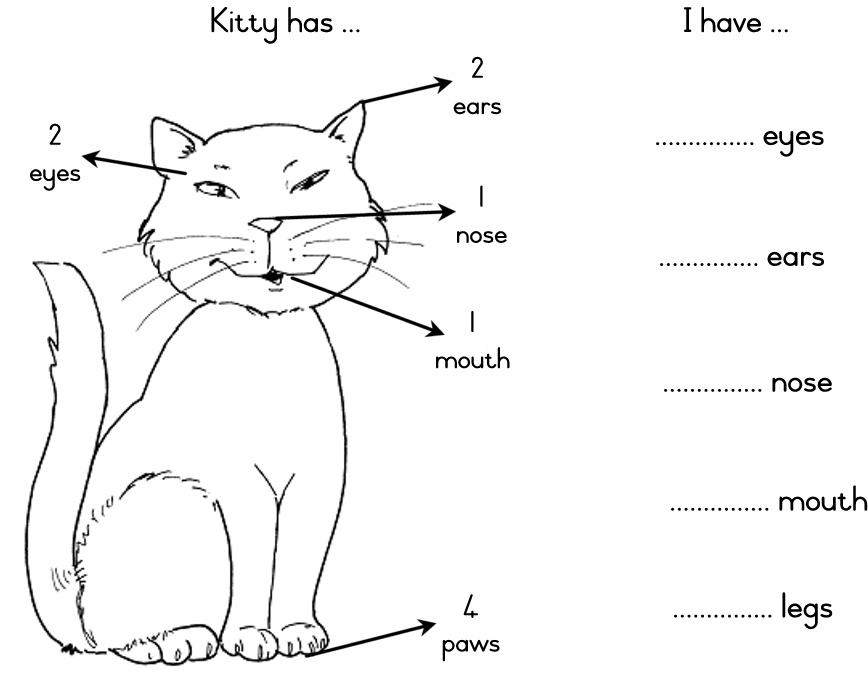 11 English With Kitty Counting By Openstax Jobilize 9662