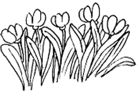 Leaner section, On the farm - chapter 1, By OpenStax | Jobilize