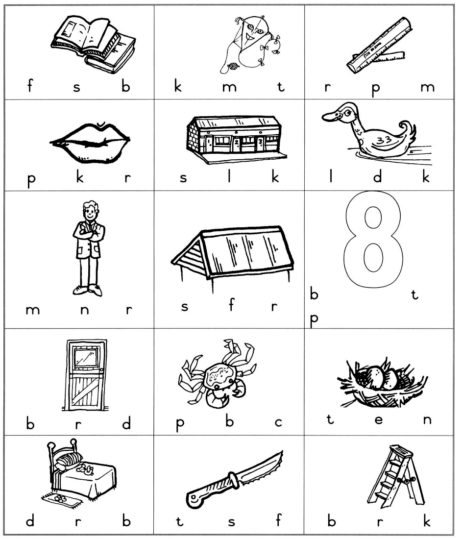 Assessment Bobtail Part 3 03 By Openstax Jobilize