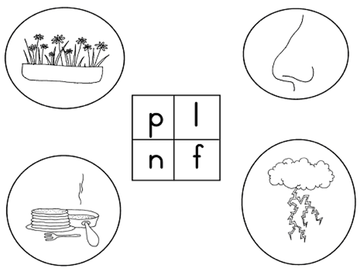 Leaner section, Cas the cameleon - 04, By OpenStax | Jobilize