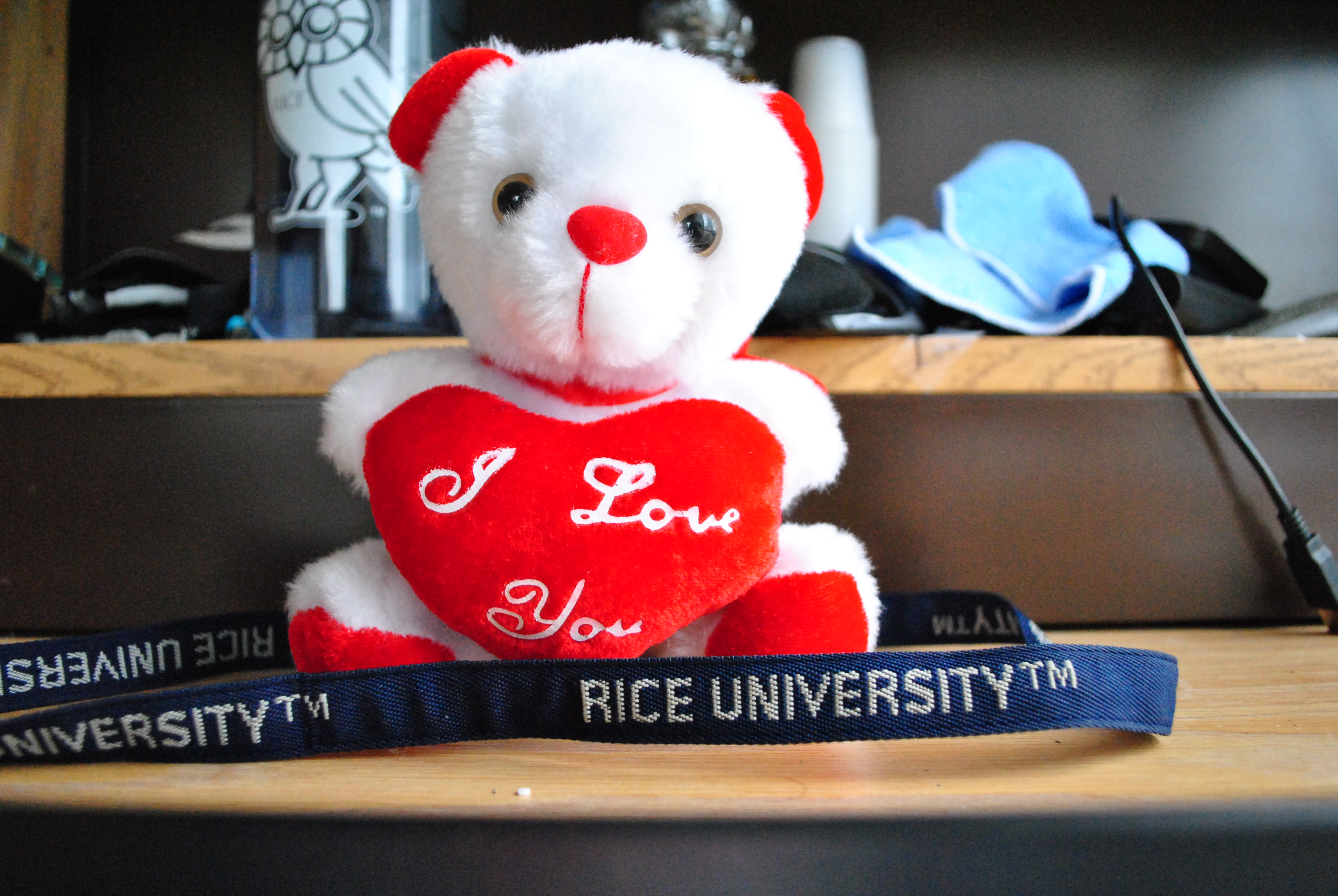 Feature Extraction Sift Alogrithm Feature Extraction By Openstax Jobilize