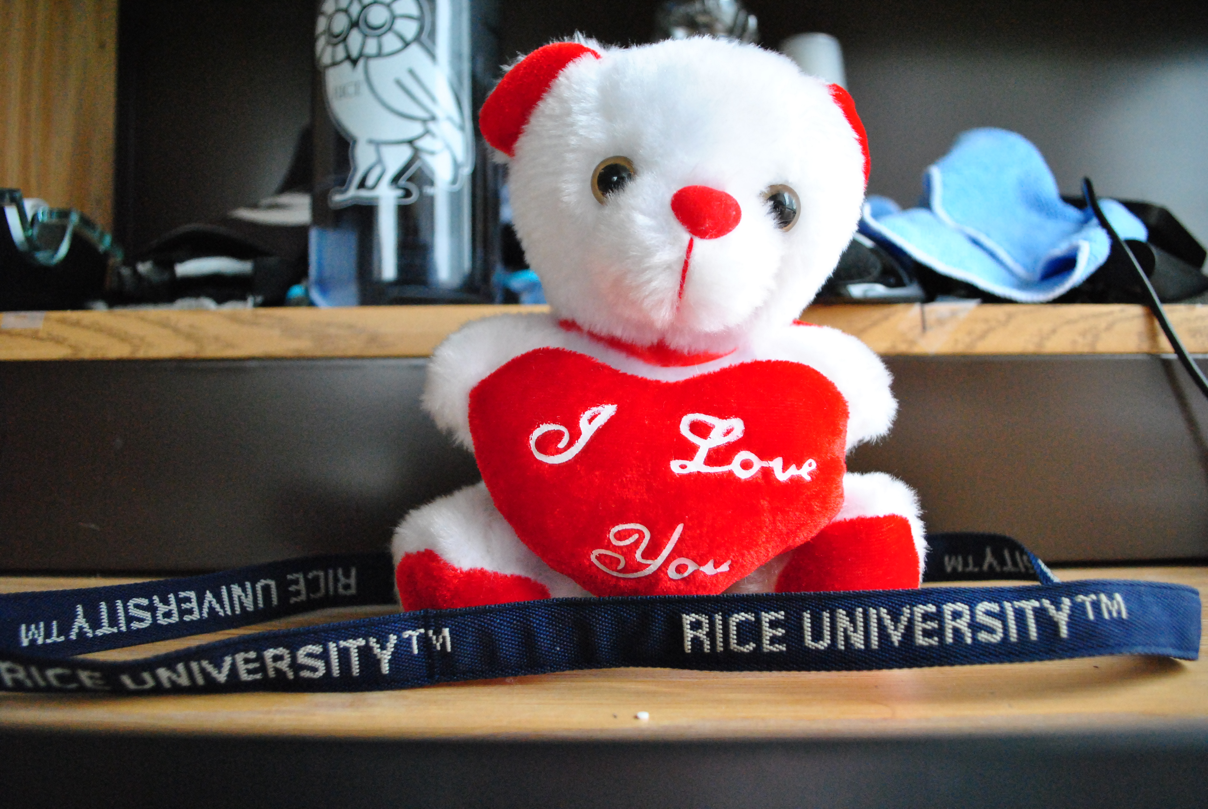 Feature extraction, Sift alogrithm feature extraction, By OpenStax ...