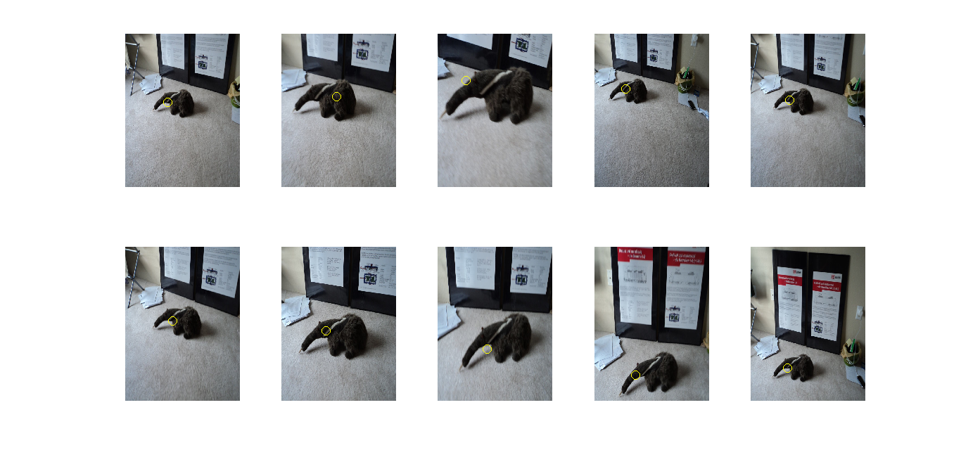 Position and orientation By OpenStax | Jobilize