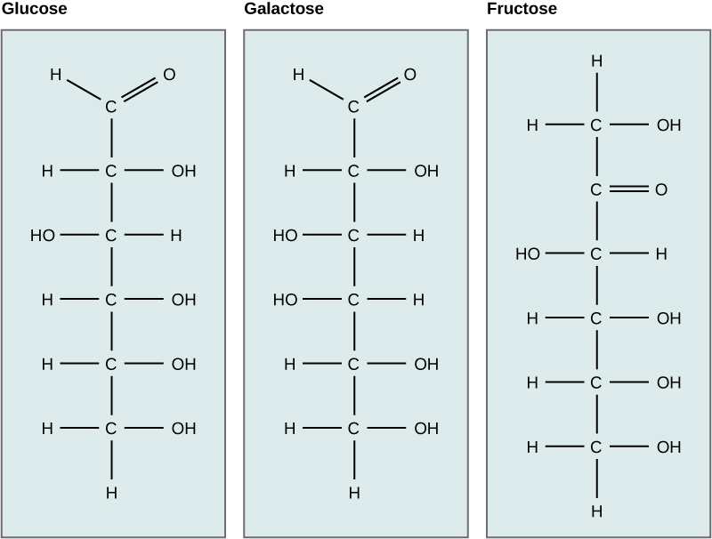 Section summary, Chemistry: biological molecules (gpc), By OpenStax (Page 9/37) | Jobilize