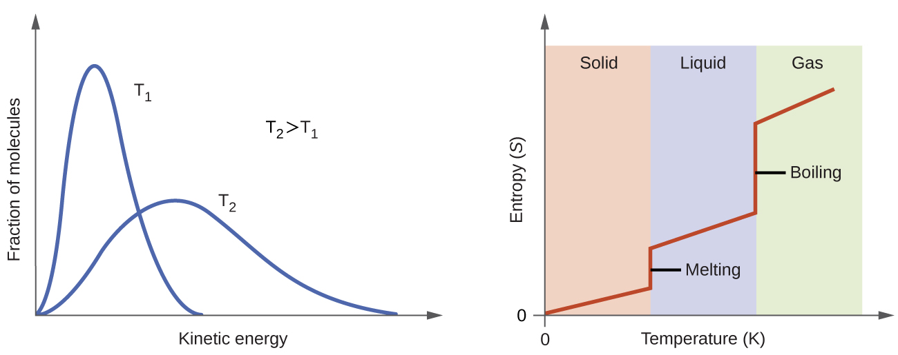 16.2 Entropy, Thermodynamics, By OpenStax (Page 4/8) | Jobilize