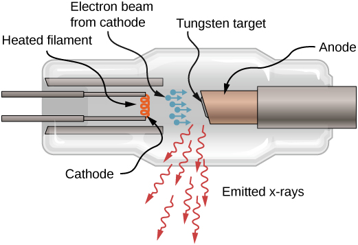 X-rays, Atomic spectra and x-rays, By OpenStax (Page 3/12) | Jobilize